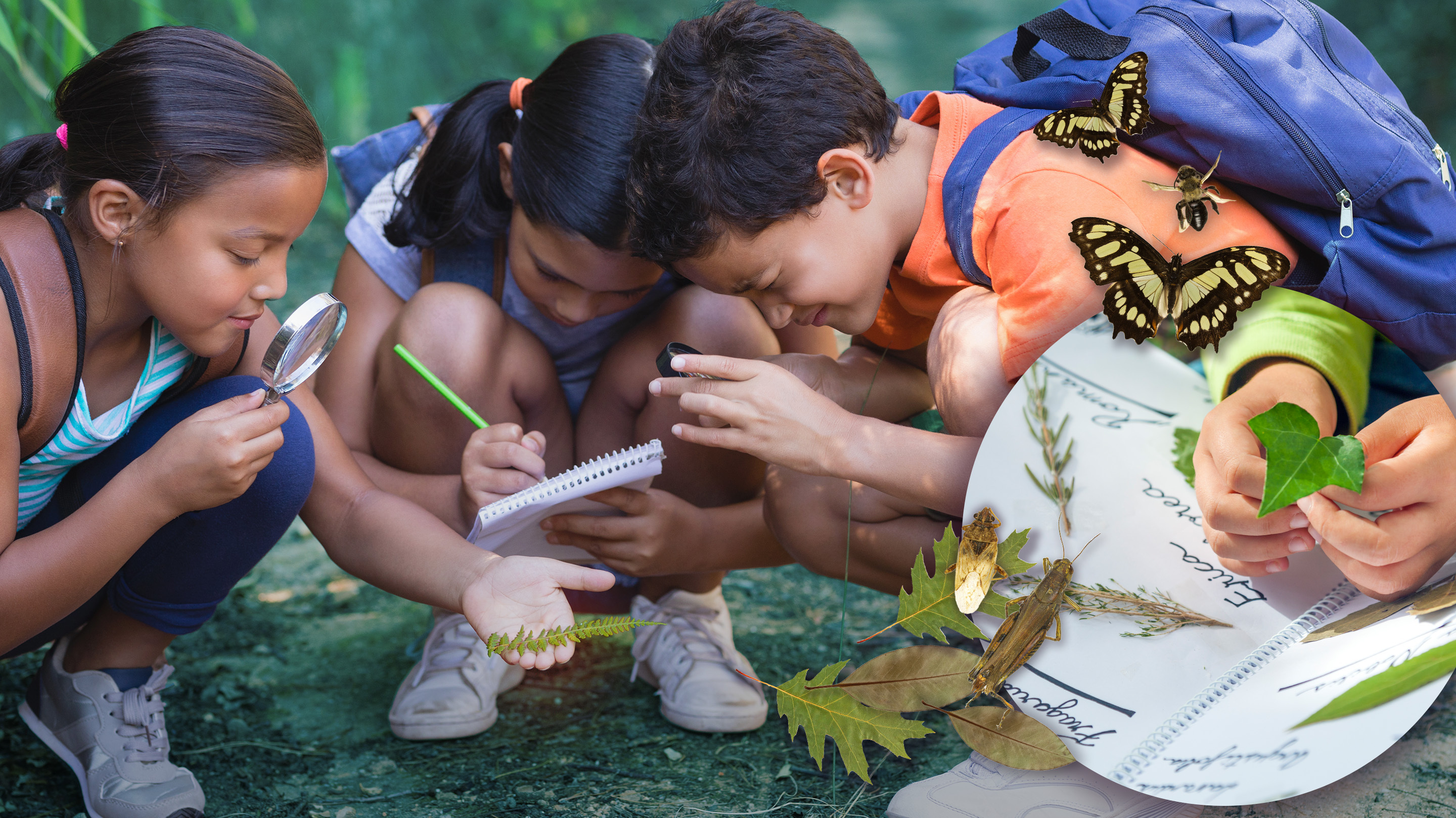 Nature Journaling for Science Exploration | Edutopia