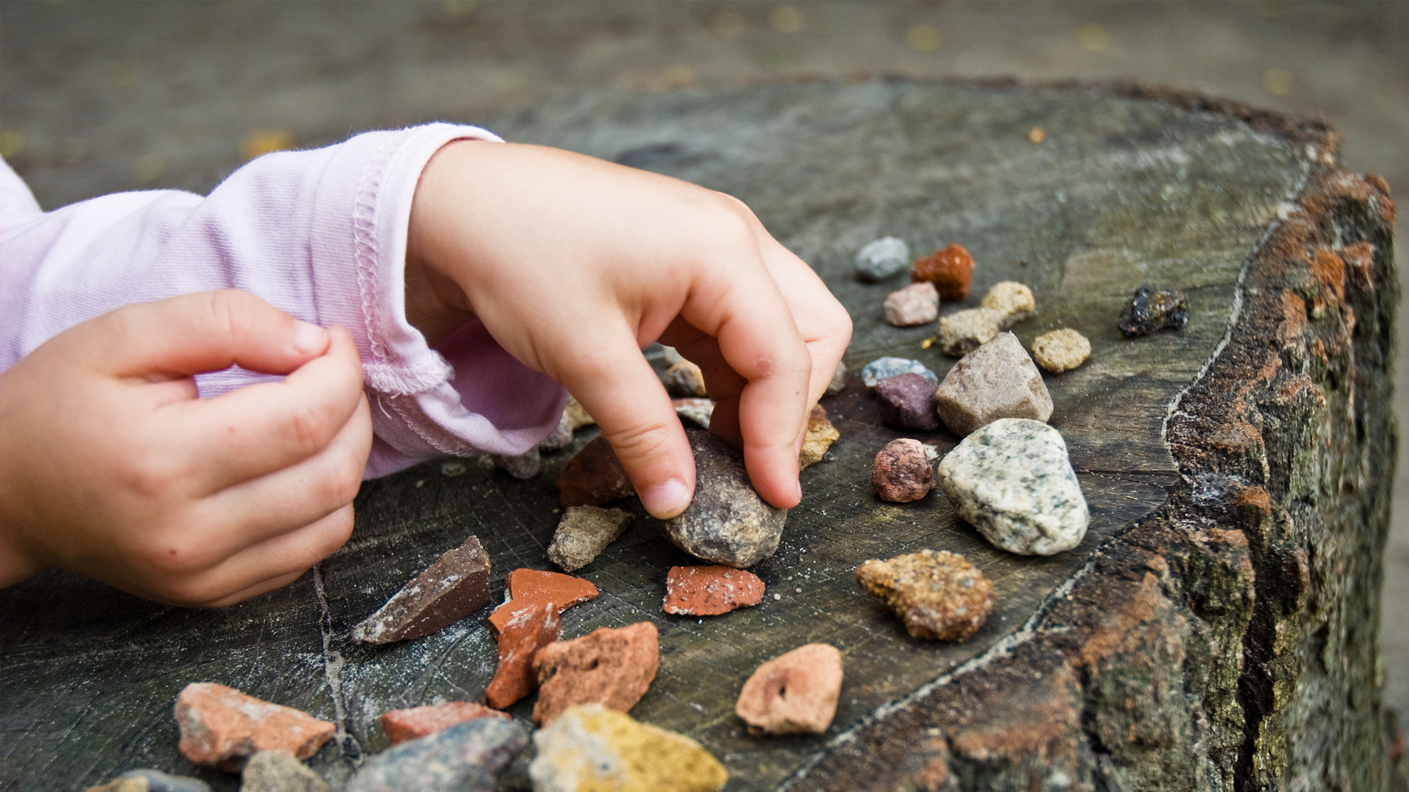 Nature and Math in Preschool | Edutopia