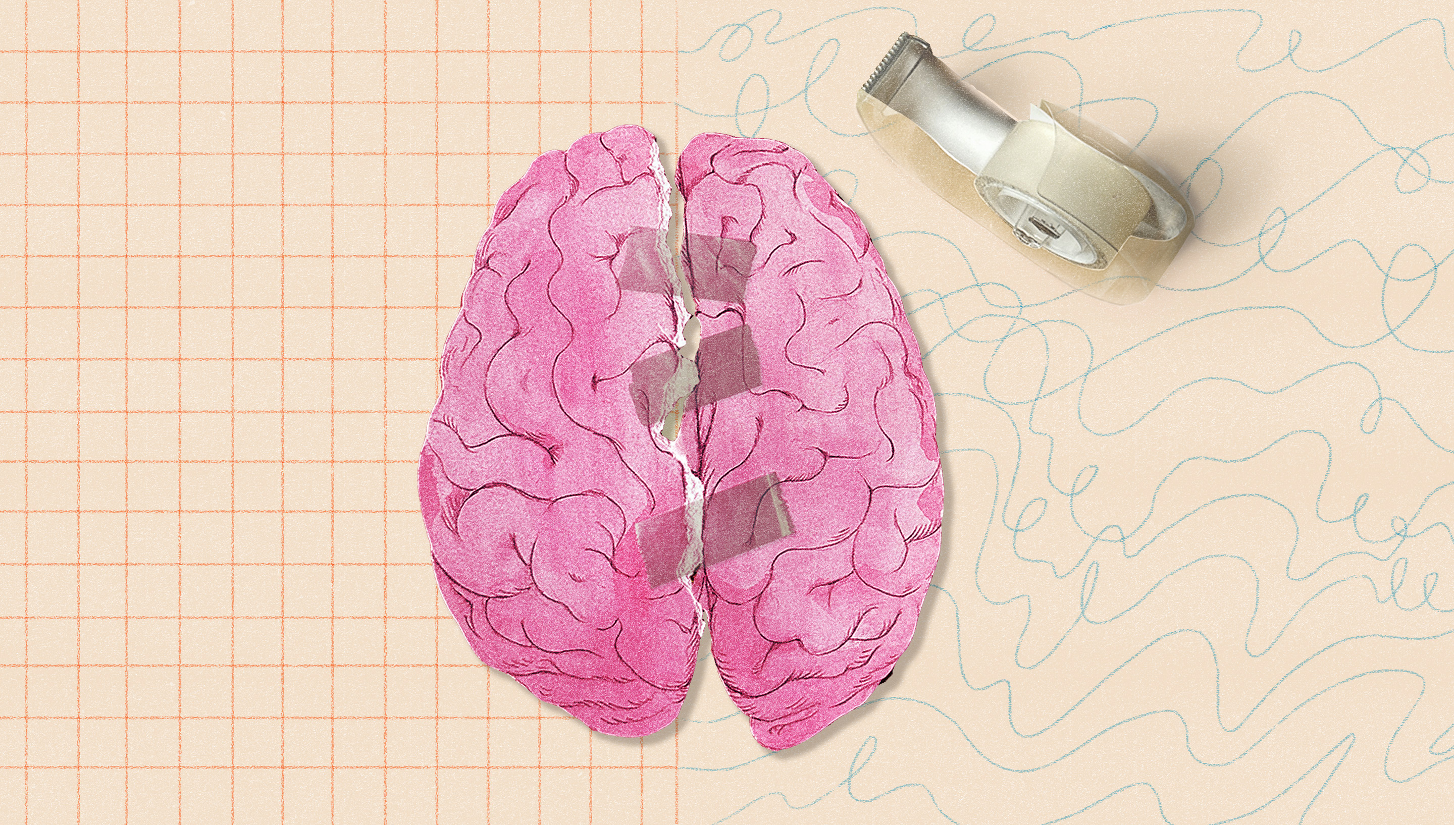 Brain-Based Learning | Edutopia