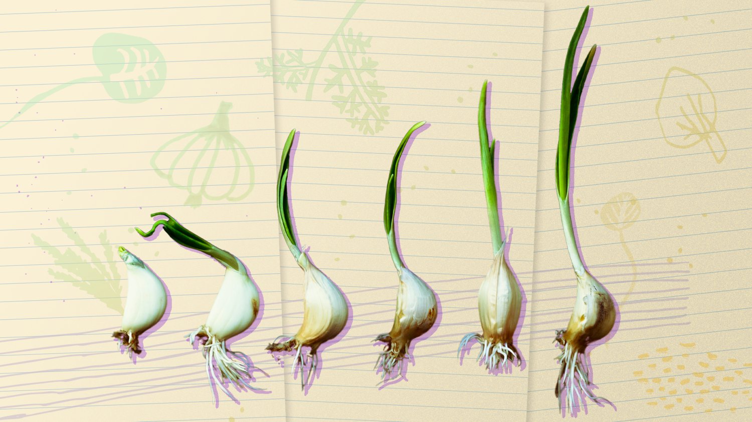 Using Sketching in Science Class | Edutopia
