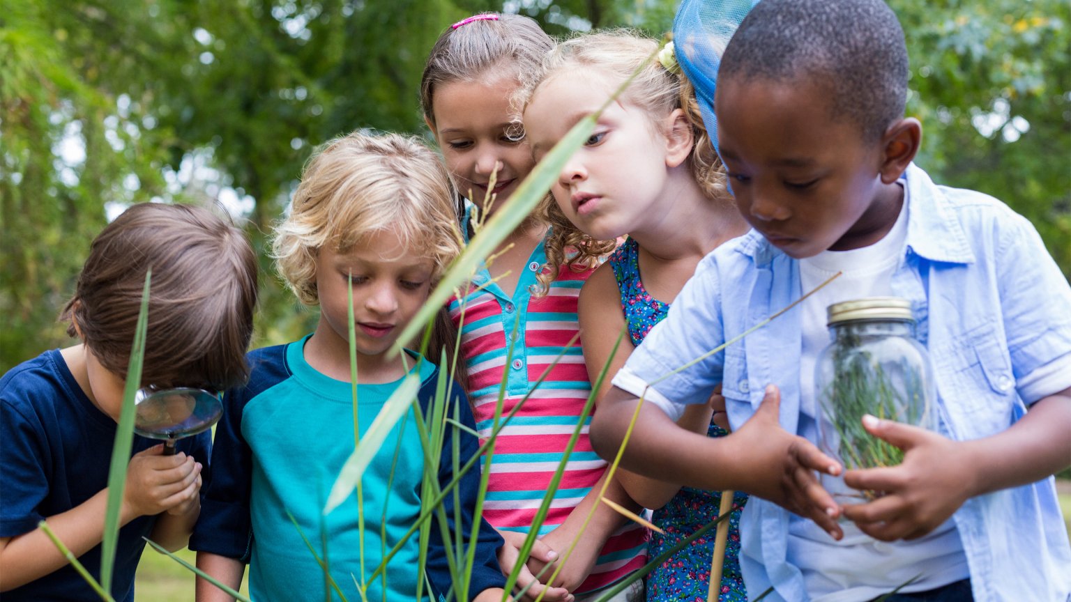 Nature-Focused Lessons for Young Students | Edutopia