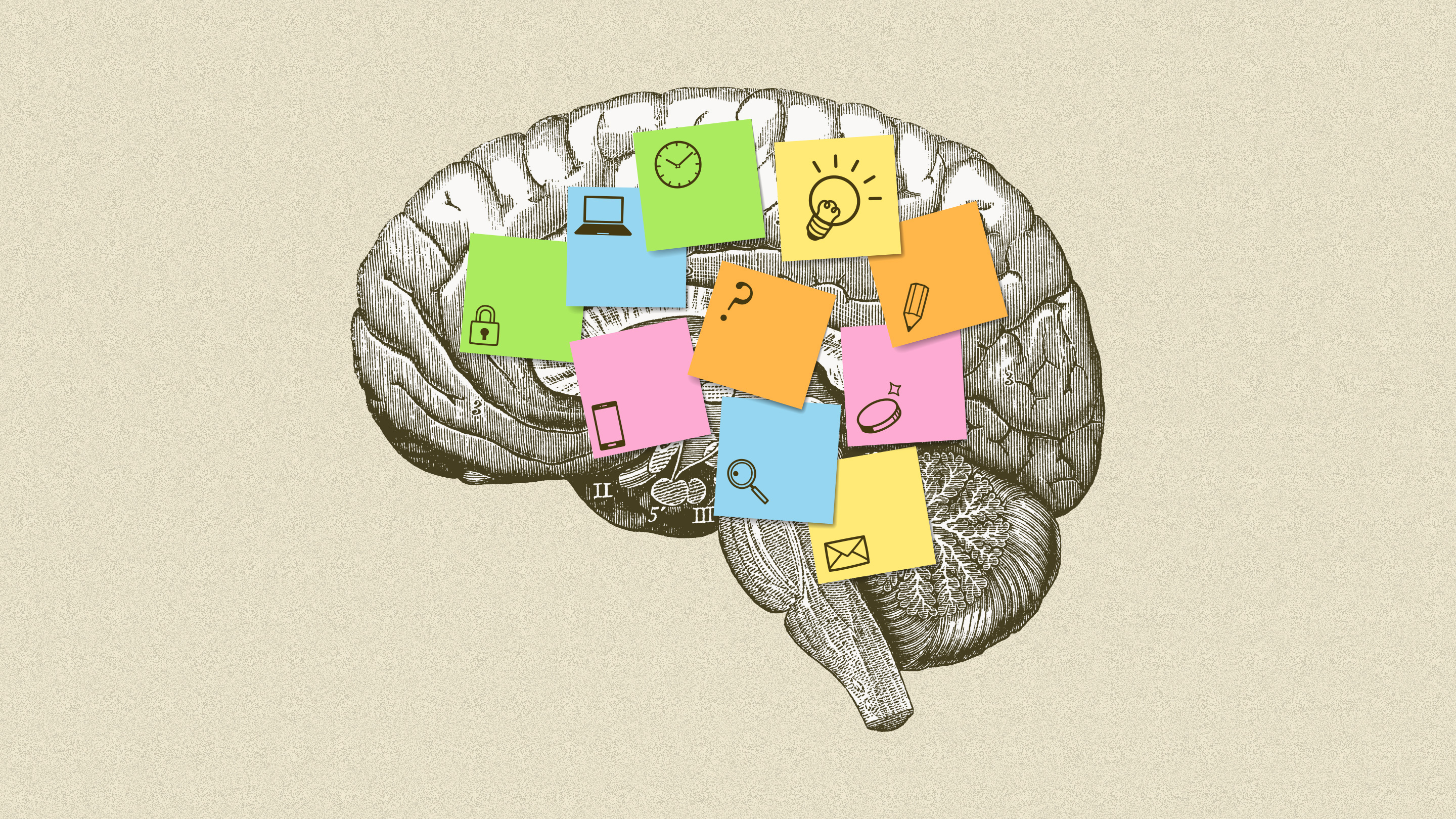 Brain-Based Learning | Edutopia