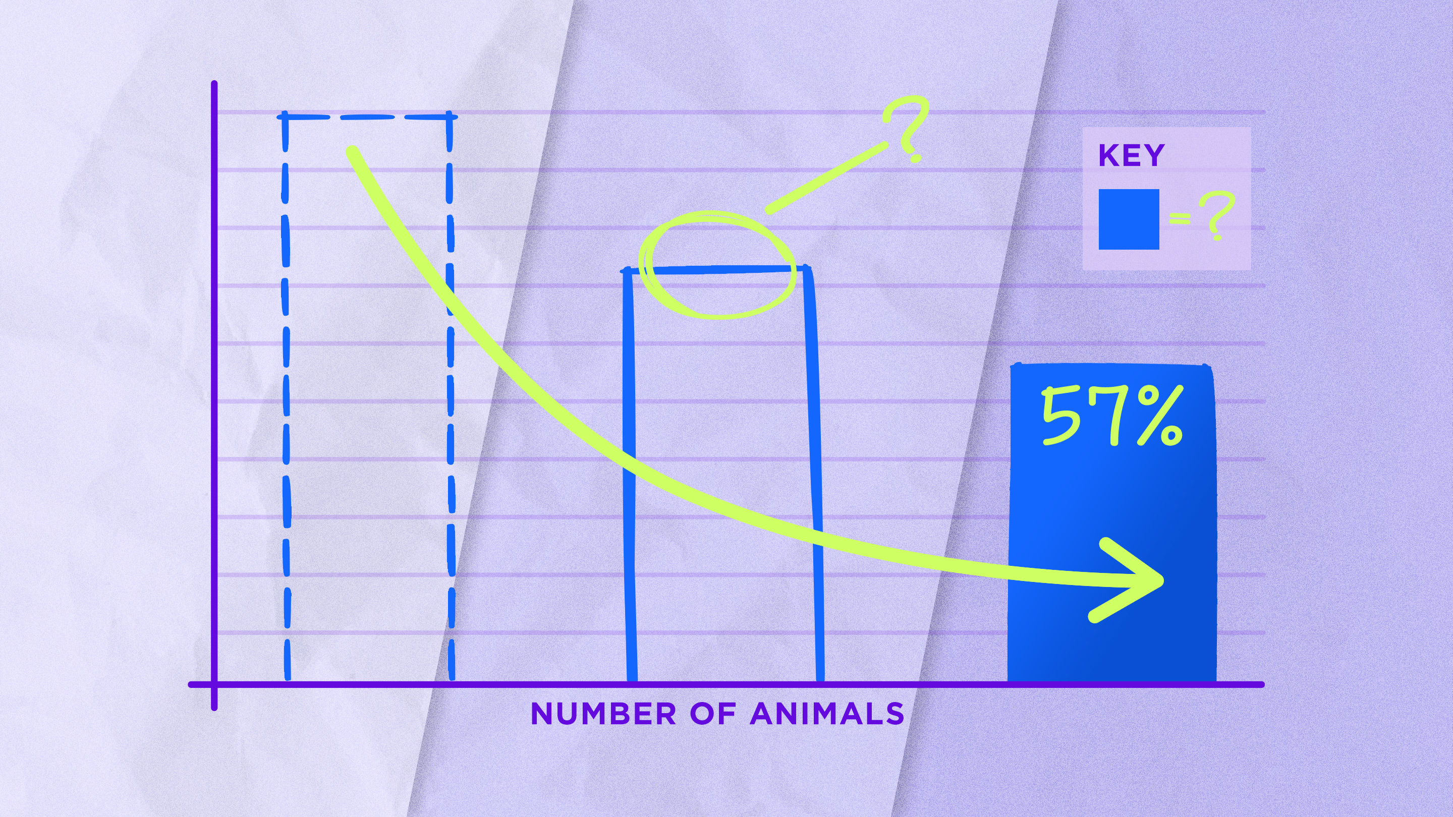Using Graphs to Promote Data Literacy in Elementary School | Edutopia