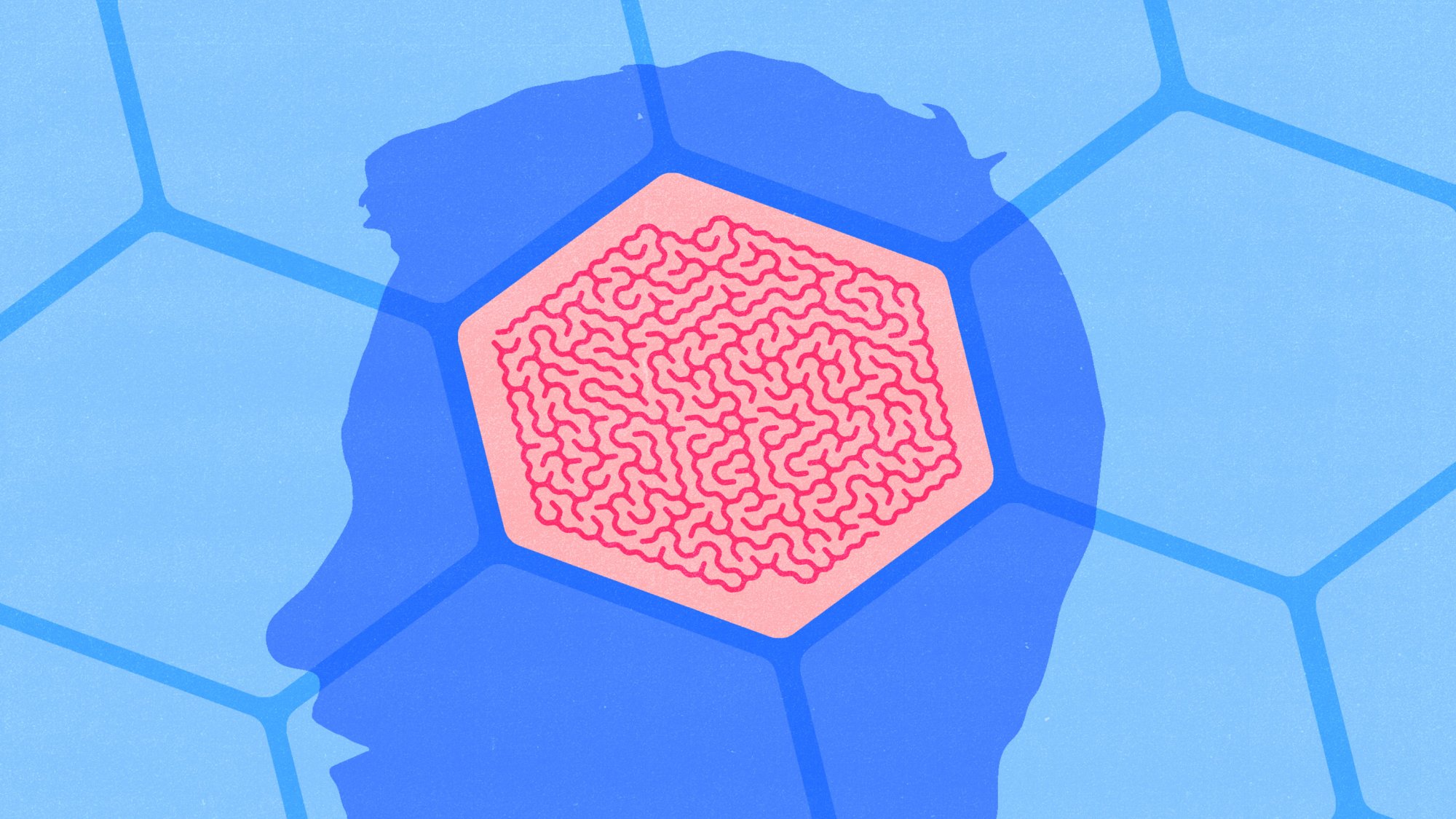 Using Hexagonal Thinking in Any Content Area | Edutopia